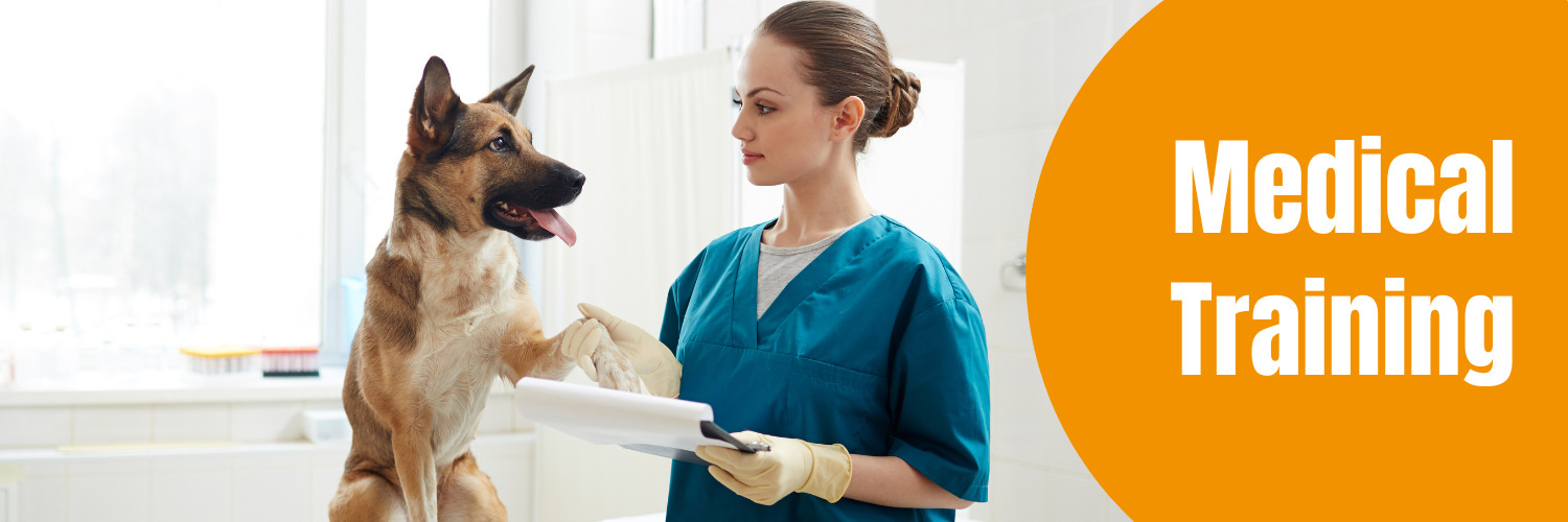 Medical Training | PfotenHafen